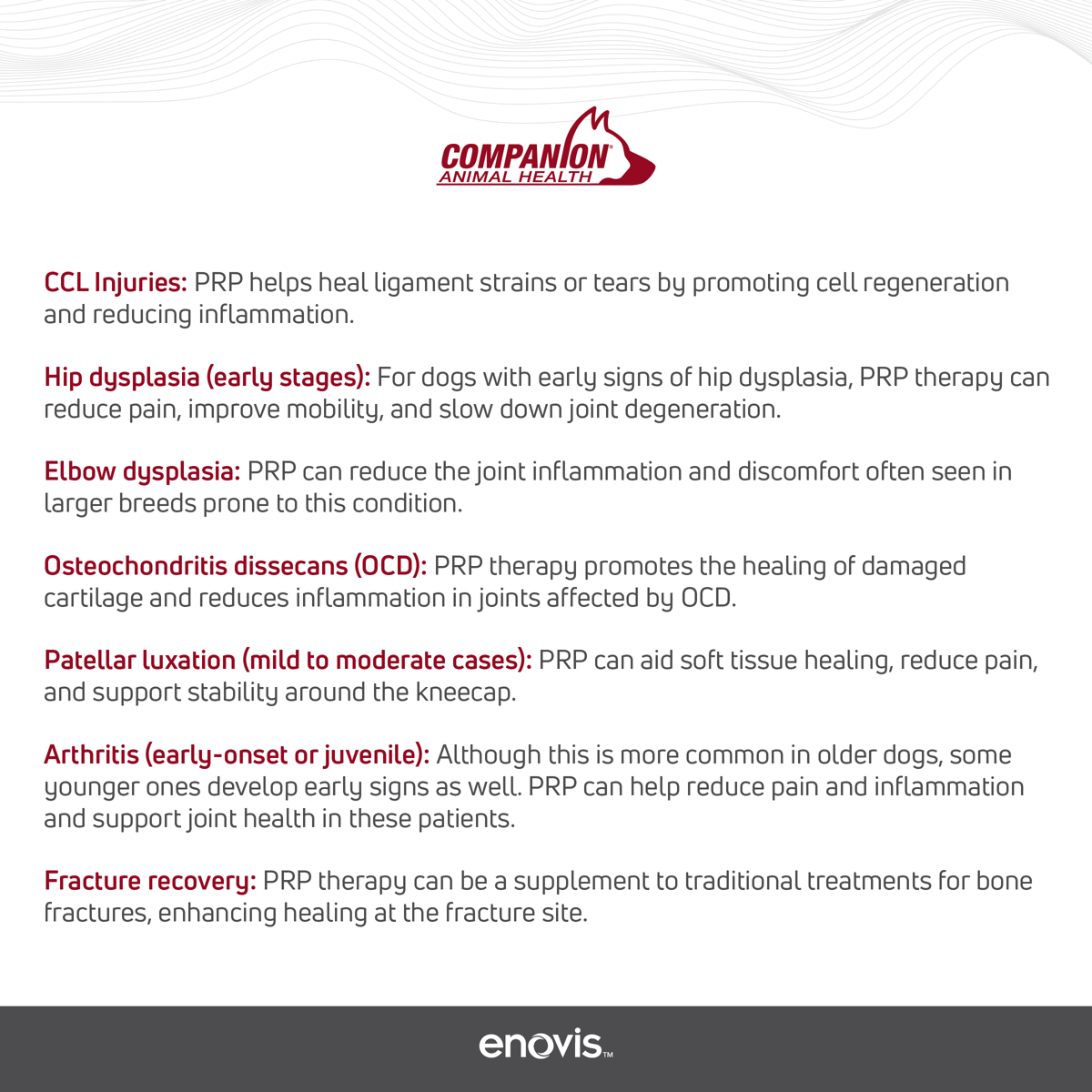 7 Ways to Help Young Dogs Stay Active with PRP Therapy | Blog ...