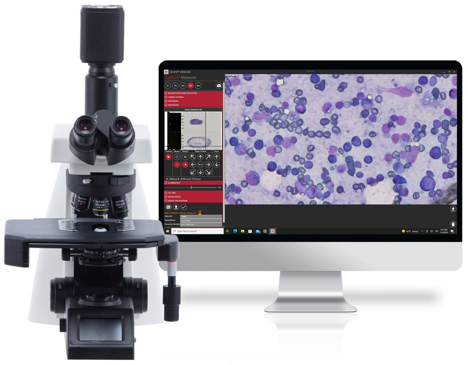 Veterinary Laser Therapy Equipment | Companion Animal Health