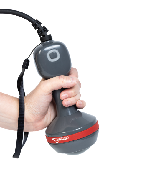 Companion Laser Therapy Products