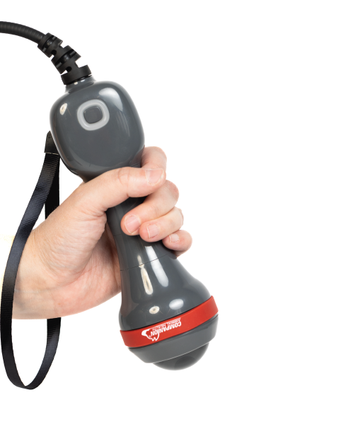 Companion Laser Therapy Products