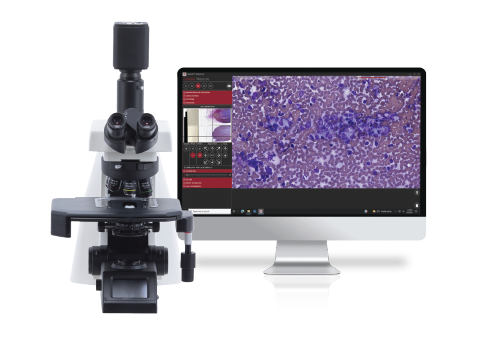 Companion Laser Therapy Products