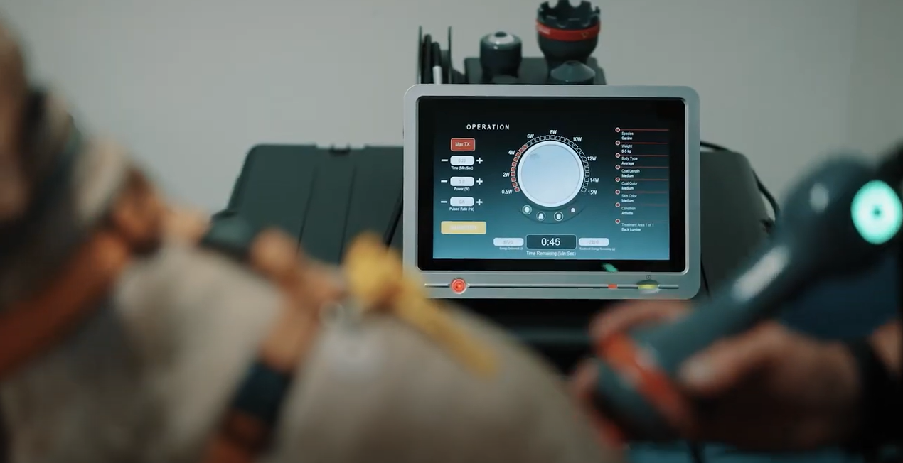 Veterinary Laser Therapy Equipment | Companion Animal Health